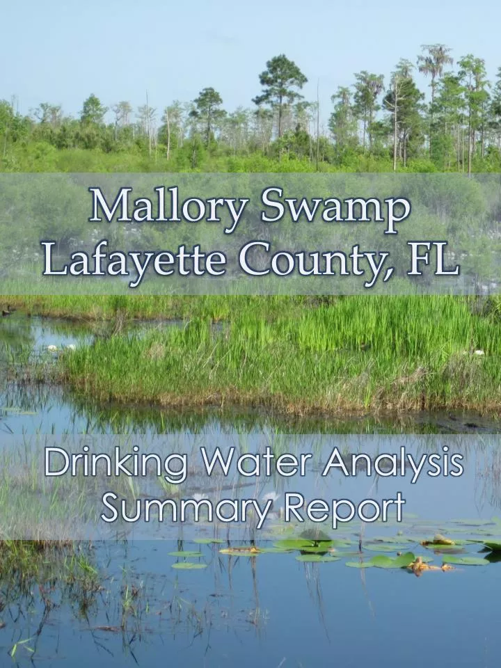 PPT - Mallory Swamp Lafayette County, FL PowerPoint Presentation, free ...