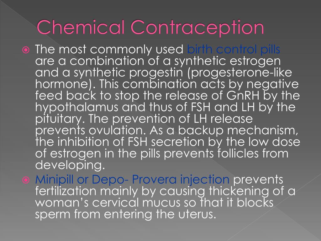PPT - The Male and Female Reproductive Systems PowerPoint Presentation ...