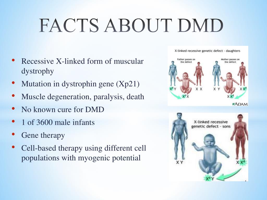 PPT - Richard Ekanem Biology 506 HMG November 28, 2011 PowerPoint ...