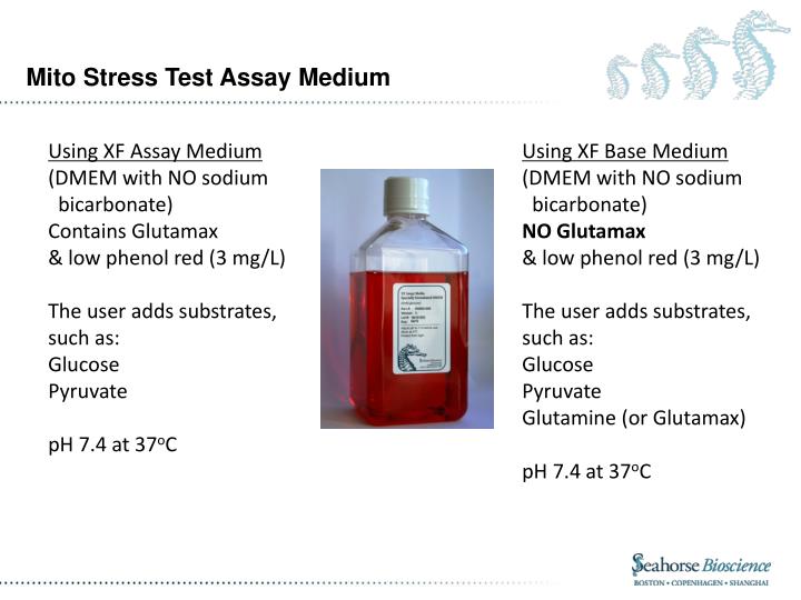 PPT - Introduction to the XF Cell Mito Stress Test Assay PowerPoint ...