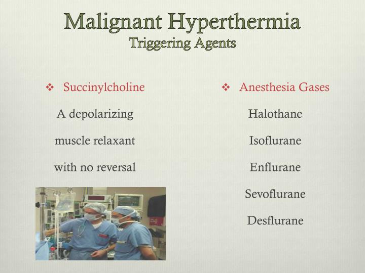 PPT - Malignant Hyperthermia Keeping Our Patients Safe PowerPoint ...