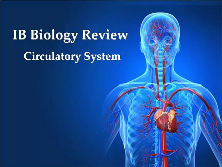 PPT - IB Biology Review PowerPoint Presentation, free download - ID:2000312