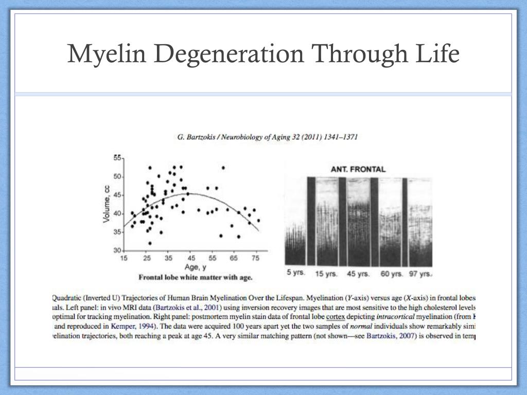 PPT - Alzheimer’s Disease and Myelin Degeneration PowerPoint ...