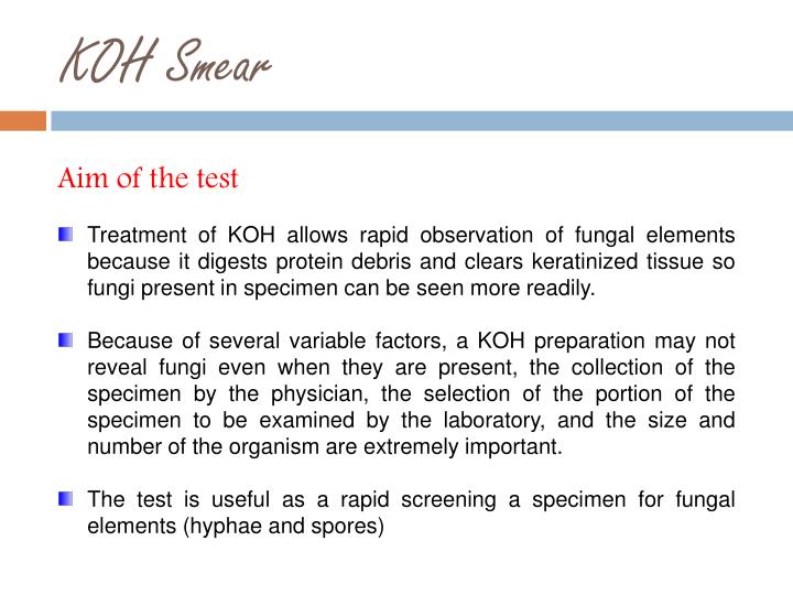 PPT - KOH SMEAR PowerPoint Presentation - ID:2000540