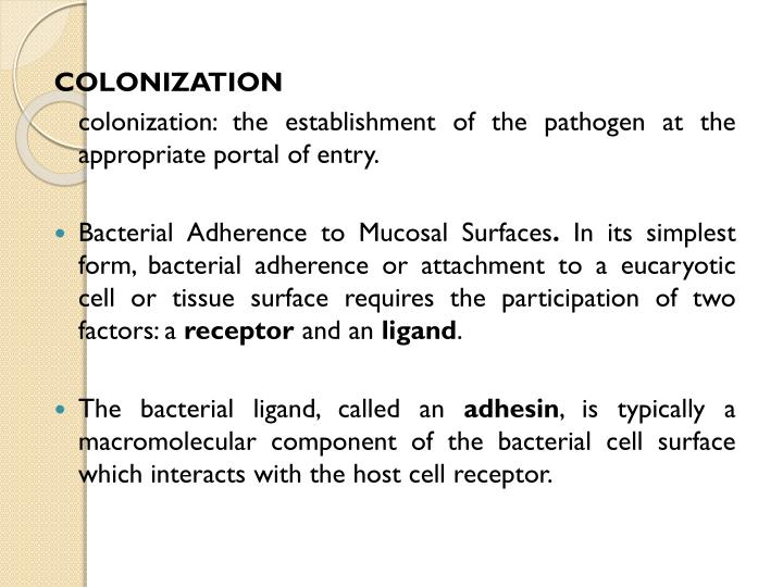 PPT - MECHANISM OF BACTERIAL PATHOGENICITY PowerPoint Presentation - ID ...