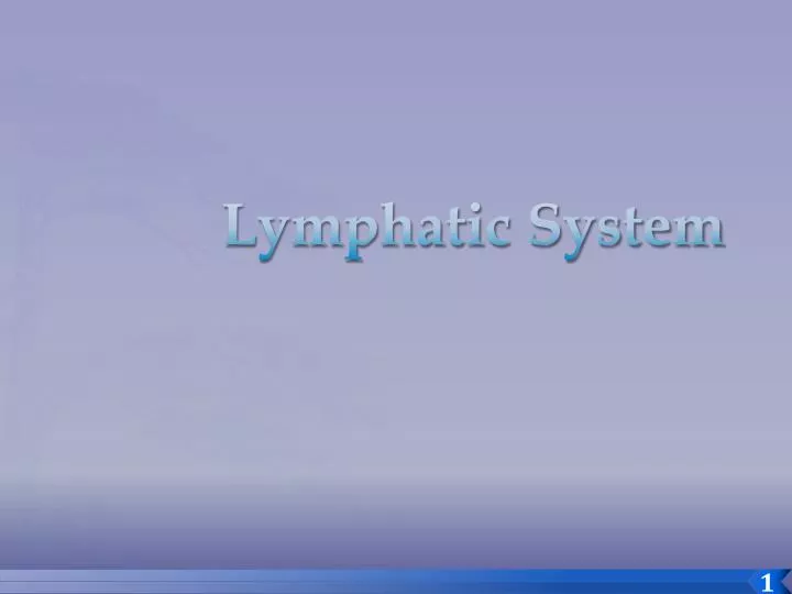 PPT - Lymphatic System PowerPoint Presentation, free download - ID:2000646