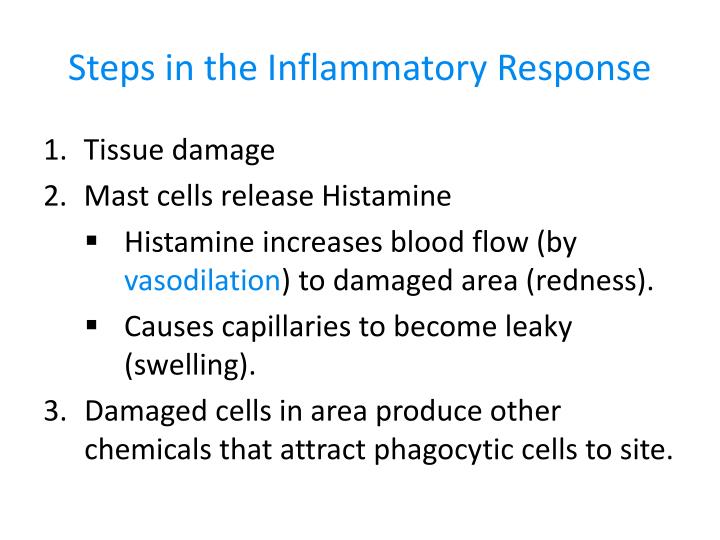 PPT - The Immune System PowerPoint Presentation - ID:2000651