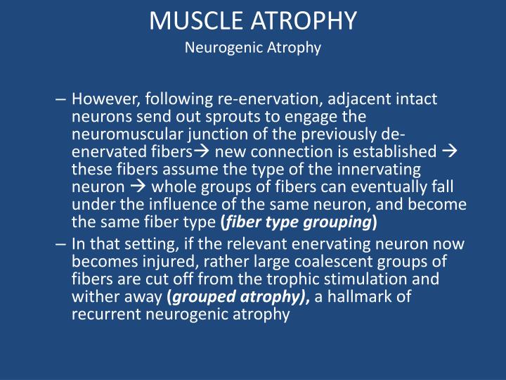 PPT - Myopathies PowerPoint Presentation - ID:2000670