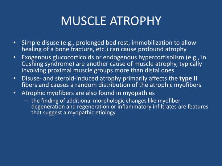 PPT - Myopathies PowerPoint Presentation - ID:2000670