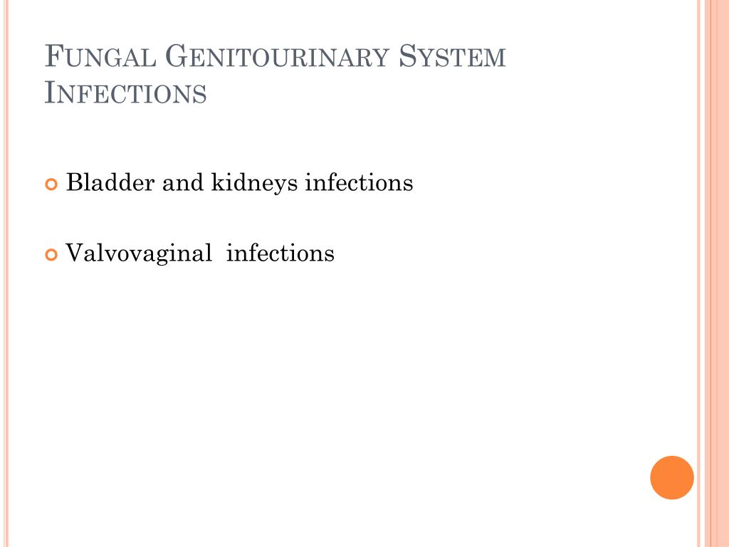 Ppt Fungal Genitourinary System Infections Powerpoint Presentation