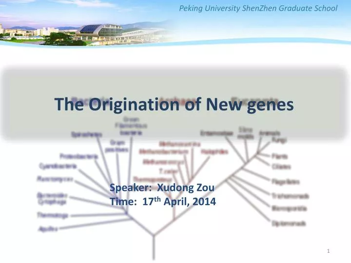 PPT - The Origination of New genes PowerPoint Presentation, free ...