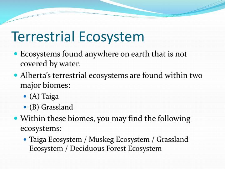 PPT - TERRESTRIAL & AQUATIC ECOSYSTEMS PowerPoint Presentation - ID:2001456