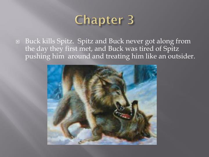 PPT - Events and Conflicts The Call of the Wild By Jack London ...