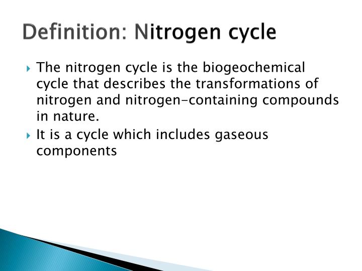 PPT - Nitrogen Cycle PowerPoint Presentation - ID:2002080