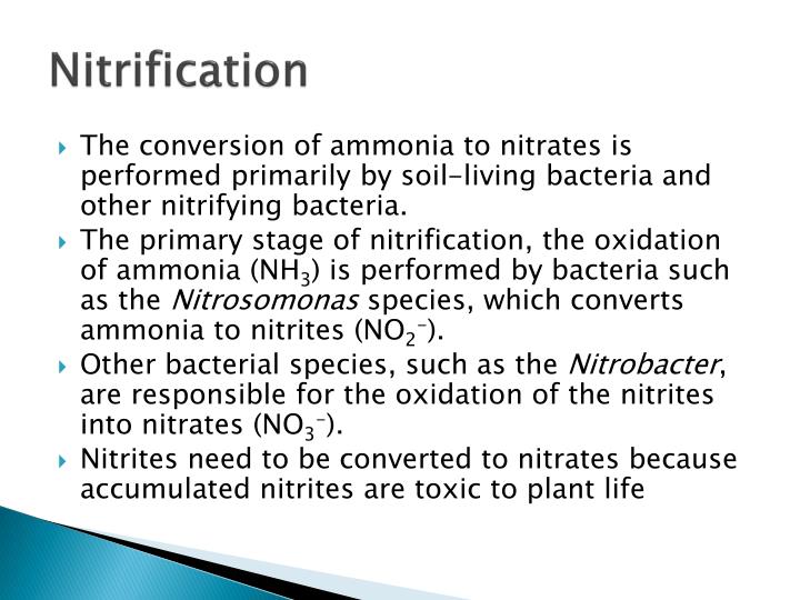 PPT - Nitrogen Cycle PowerPoint Presentation - ID:2002080