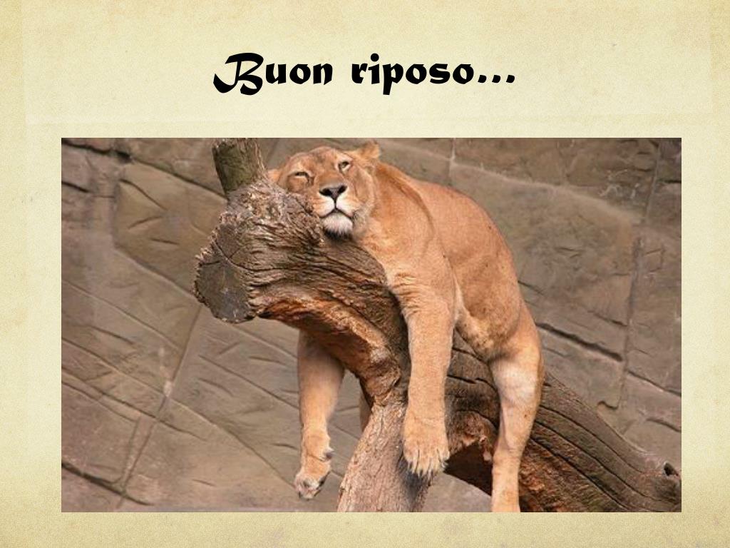 PPT - L’IMPORTANZA DEL “RIPOSO”NELLA SIDROME EHLERS DANLOS PowerPoint ...