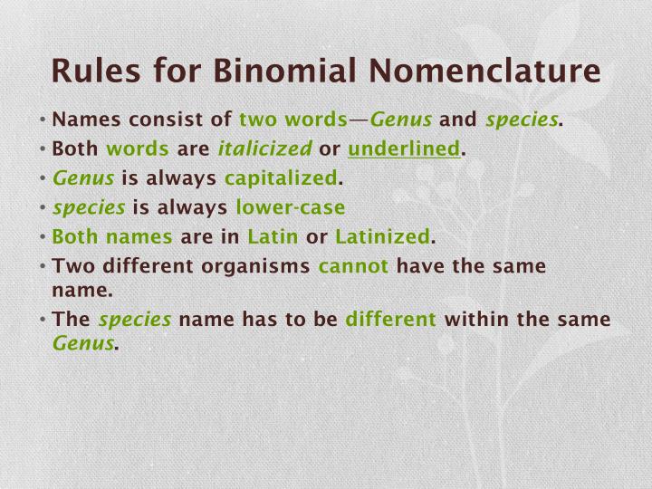 PPT - Classification of Organisms PowerPoint Presentation - ID:2002362
