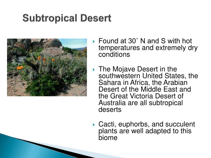 PPT - Terrestrial Biomes PowerPoint Presentation - ID:2002403