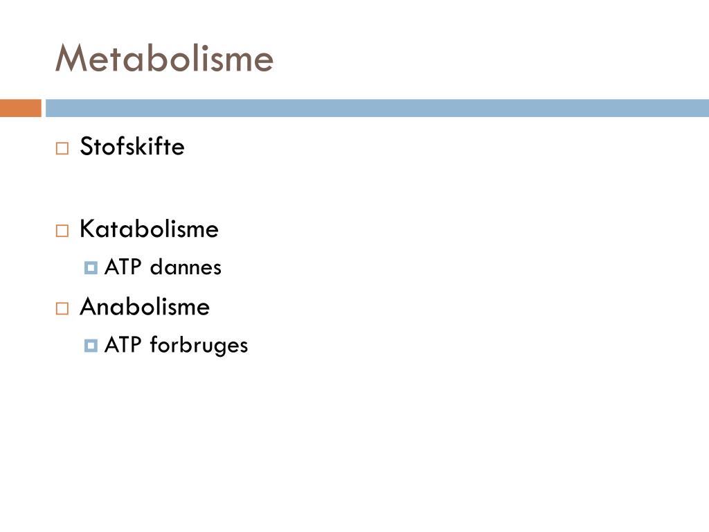 PPT - Protein, kulhydrater, lipider og metabolisme PowerPoint ...