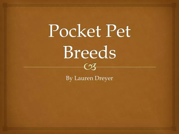 PPT - Pocket P et Breeds PowerPoint Presentation, free download - ID ...