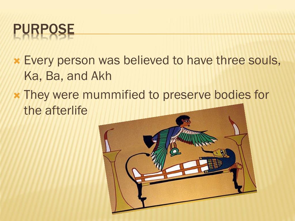 PPT - Gabe Tucker, Ashlee Shoup , Hunter Spalenka , Brynne Davies ...