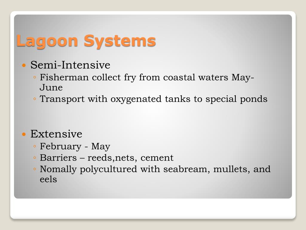 PPT - Sea Bass Aquaculture PowerPoint Presentation, free download - ID ...
