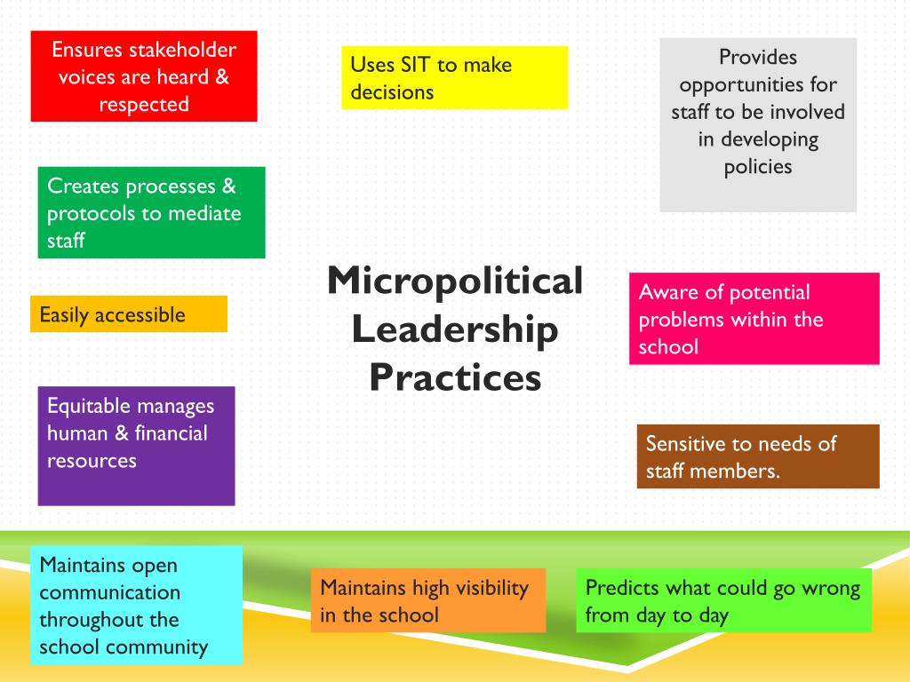 PPT - School Executive Standards: Micro-political Leadership PowerPoint ...