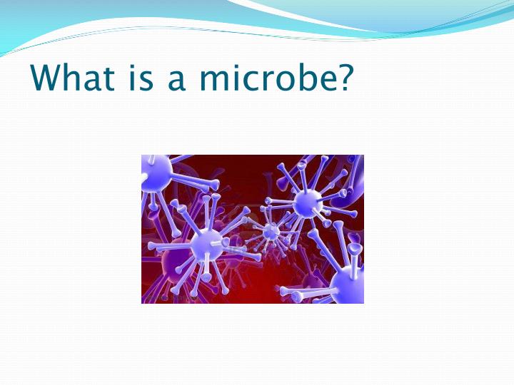 PPT - Microbes and how they affect us PowerPoint Presentation - ID:2005499