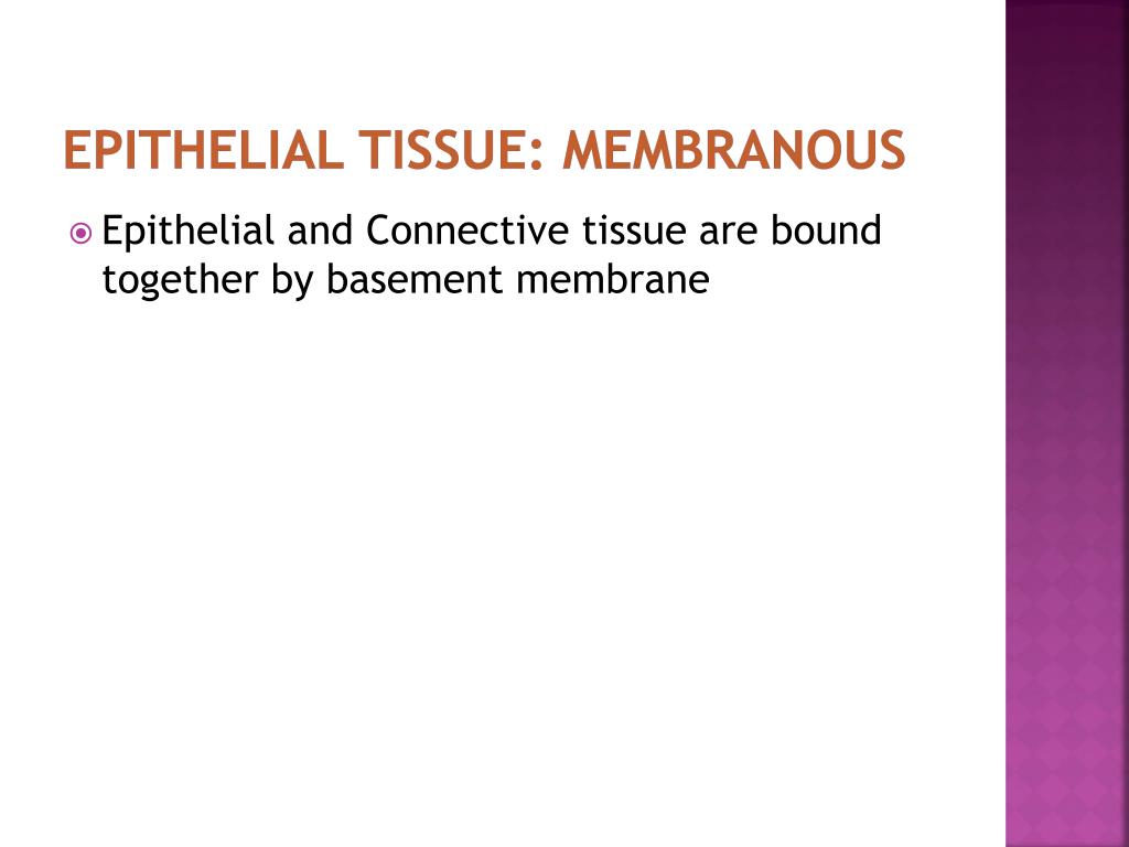 PPT - Tissue and Membranes ST110 Concorde Career College PowerPoint ...
