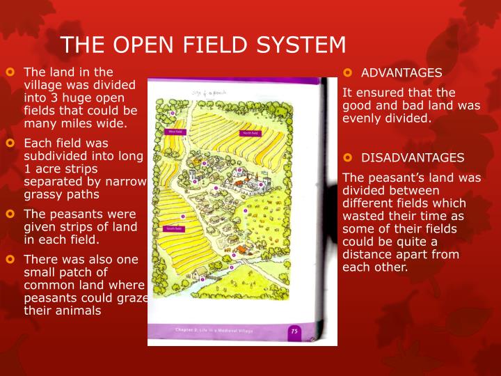 PPT - THE OPEN FIELD SYSTEM PowerPoint Presentation - ID:2006805