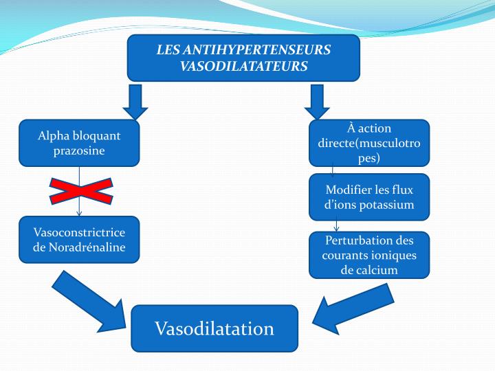 PPT - Les antihypertenseurs PowerPoint Presentation - ID:2006837