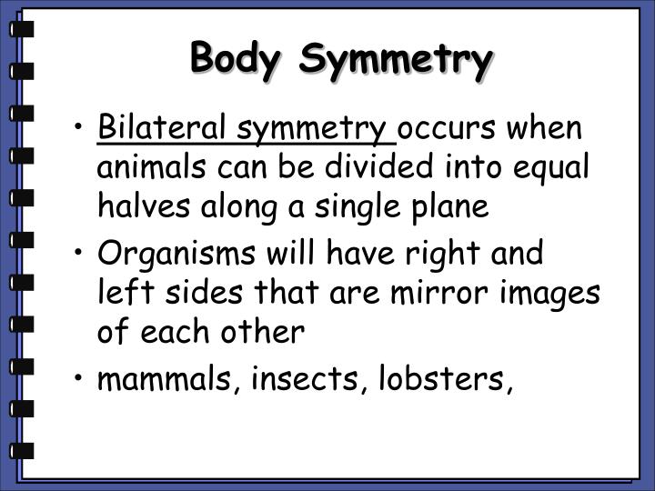 PPT - Unit 9 Notes PowerPoint Presentation - ID:2006938