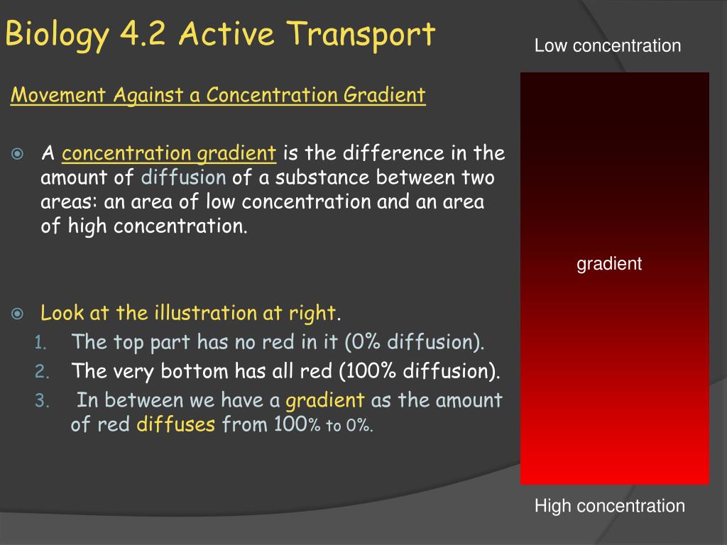 PPT - Biology 4.2 Active Transport PowerPoint Presentation, free ...