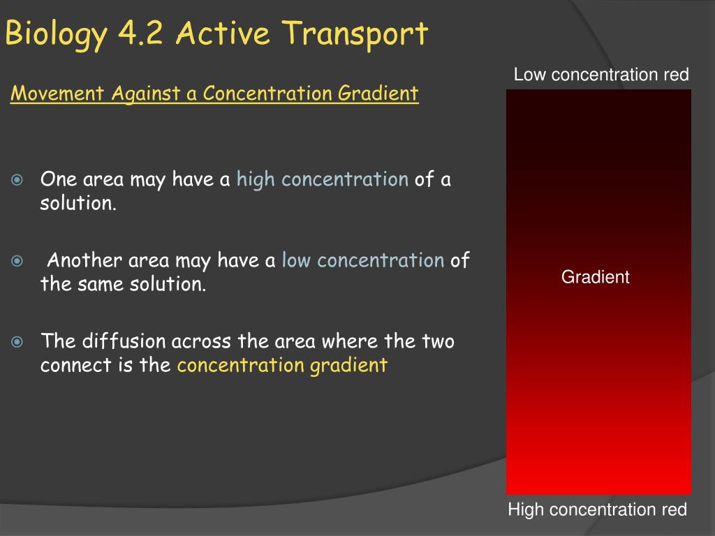 PPT - Biology 4.2 Active Transport PowerPoint Presentation, free ...