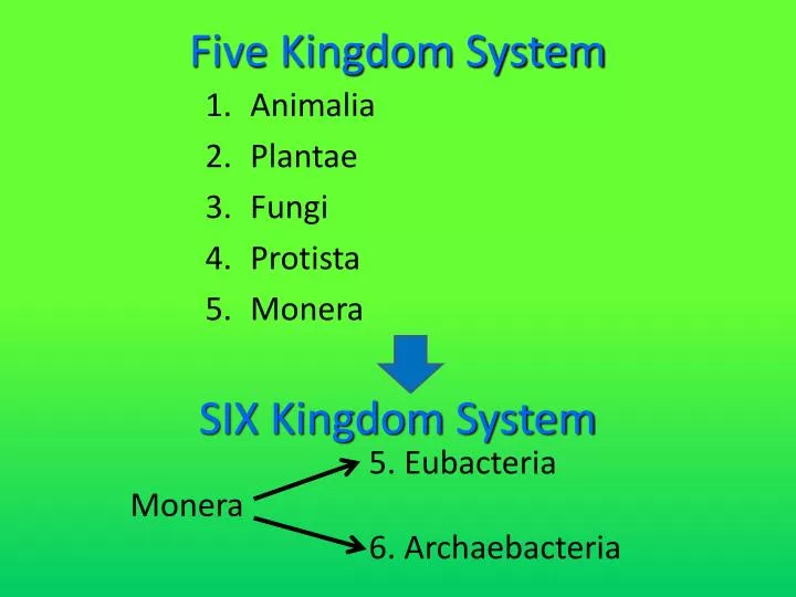 PPT - Five Kingdom System PowerPoint Presentation, free download - ID ...
