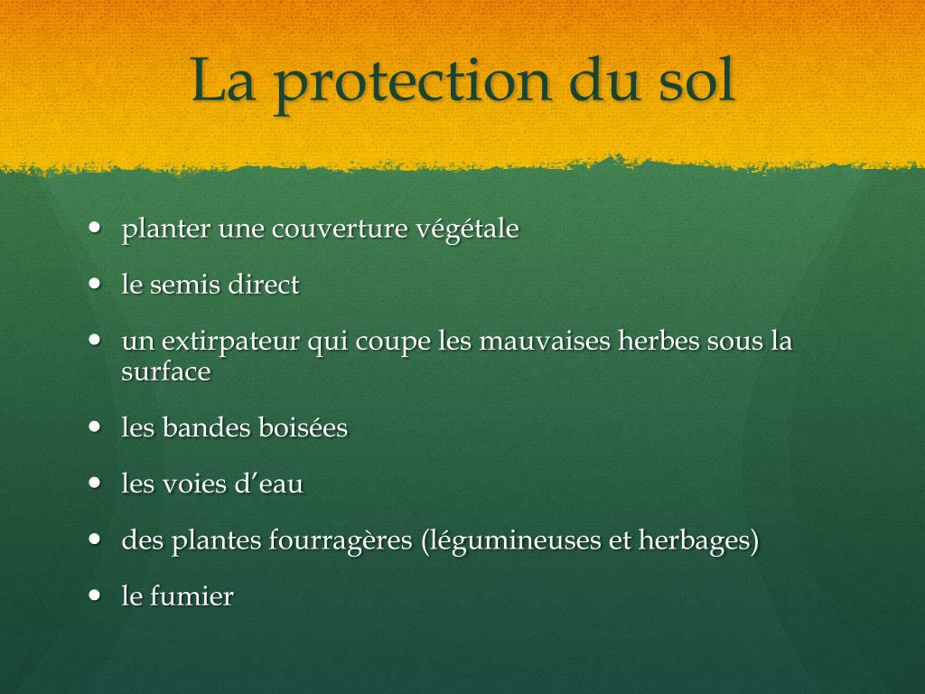 PPT - Thème 5 : Les engrais et les éléments nutritifs du sol PowerPoint ...