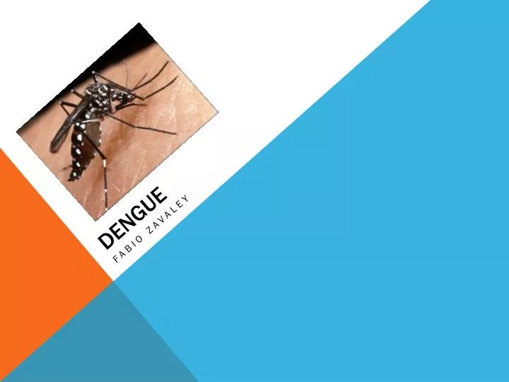 PPT - Dengue PowerPoint Presentation, free download - ID:2007598