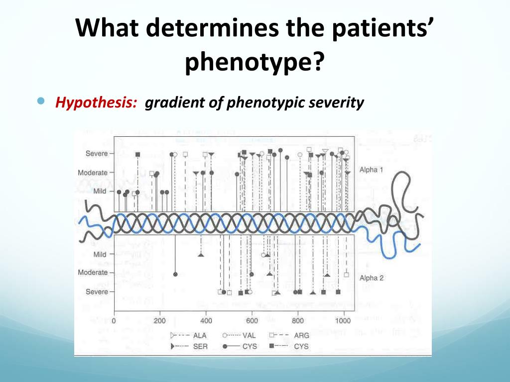 PPT - Ano letivo 2012-2013 Biologia celular e molecular II PowerPoint ...