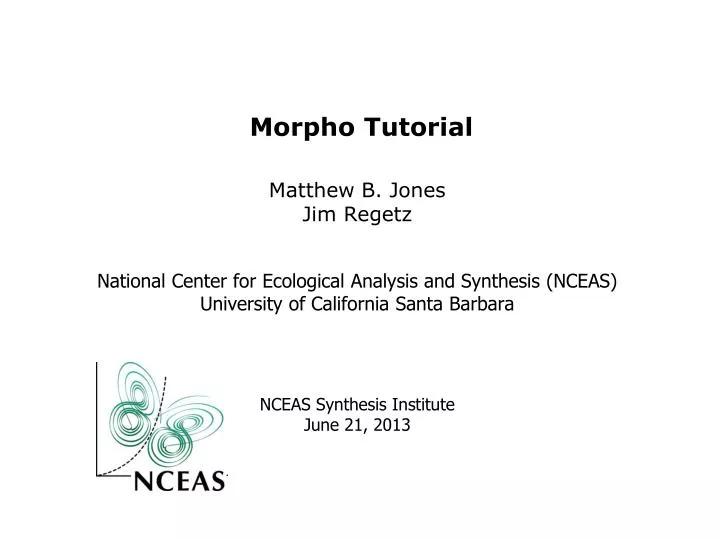 PPT - Morpho Tutorial PowerPoint Presentation, free download - ID:2008308