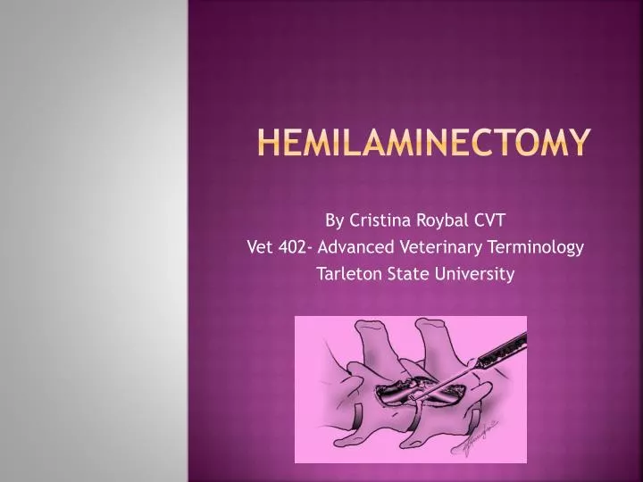 PPT - Hemilaminectomy PowerPoint Presentation, free download - ID:2008316