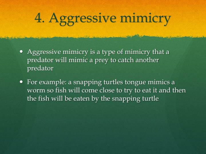 PPT - Mimicry and camouflage PowerPoint Presentation - ID:2008512