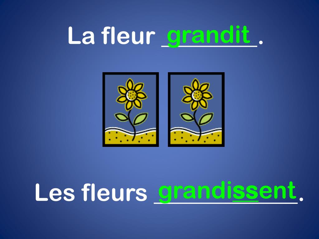 PPT - Les verbes qui changent de son au pluriel PowerPoint Presentation ...