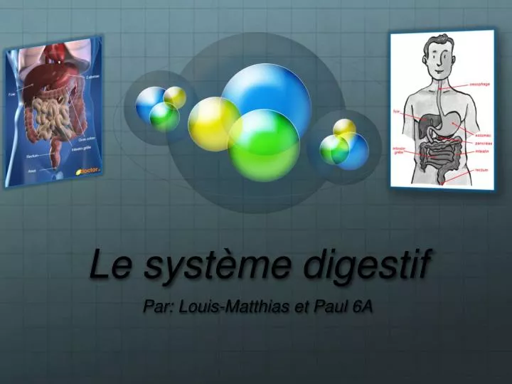 PPT - Le système digestif PowerPoint Presentation, free download - ID ...
