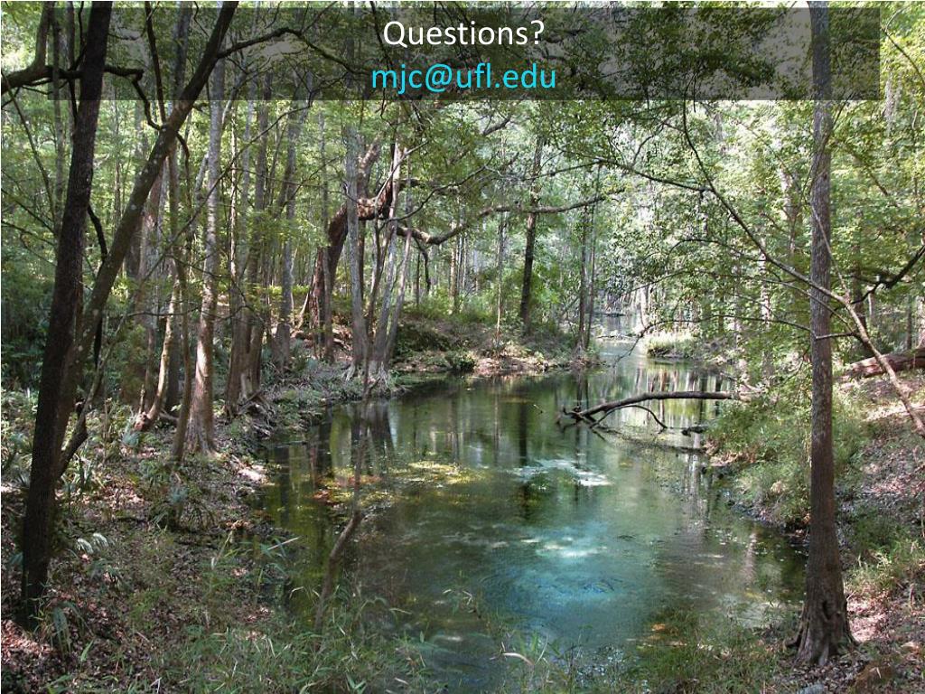 PPT - Eutrophication and Algal Proliferation in Florida’s Springs ...