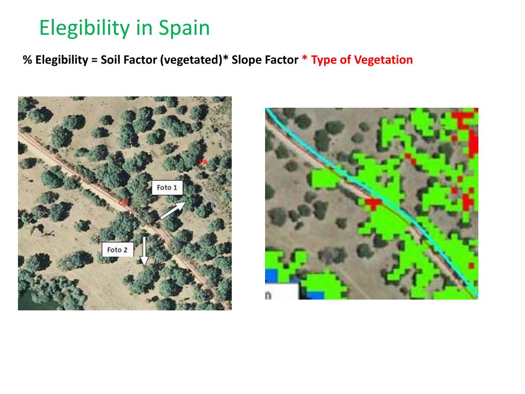 PPT - EURAF in Spain Spanish Agroforestry Association Agroforestry in the new CAP PowerPoint ...