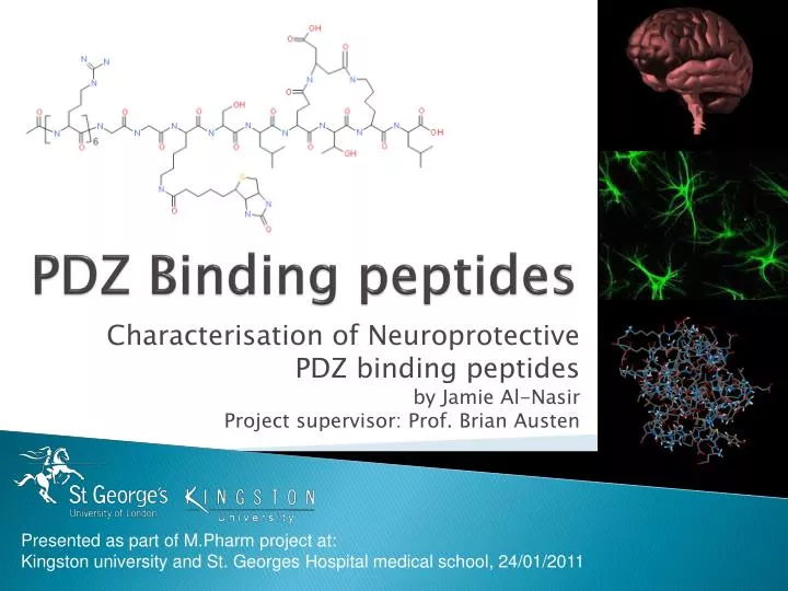 PPT - PDZ Binding peptides PowerPoint Presentation, free download - ID ...