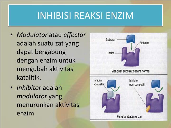 PPT - REAKSI ENZIM DENGAN KINETIKA SEDERHANA PowerPoint Presentation ...