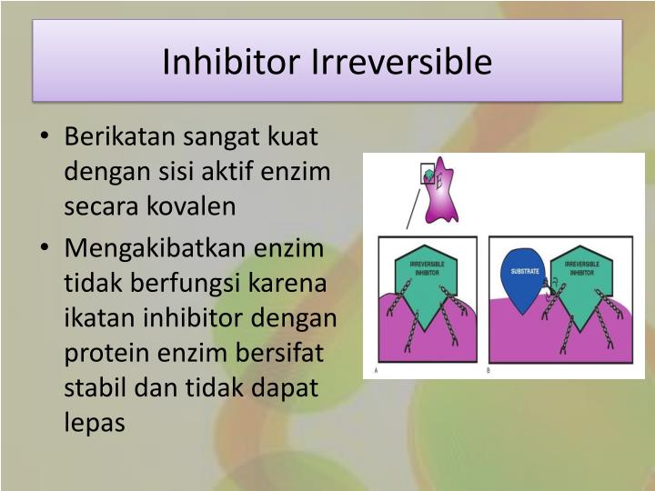 PPT - REAKSI ENZIM DENGAN KINETIKA SEDERHANA PowerPoint Presentation ...