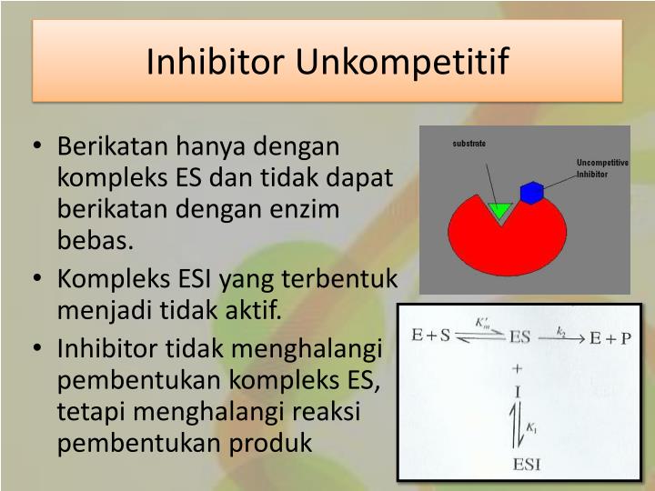 PPT - REAKSI ENZIM DENGAN KINETIKA SEDERHANA PowerPoint Presentation ...