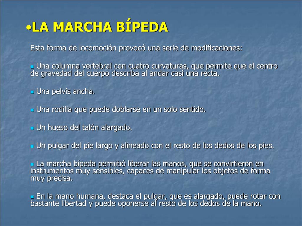 PPT - LA HOMINIZACIÓN PowerPoint Presentation, free download - ID:2009971